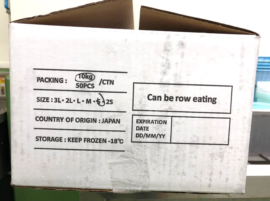 Frozen Oyster (whole Shell) Bulk Seafood Fish Wholesale Japanese - Buy ...