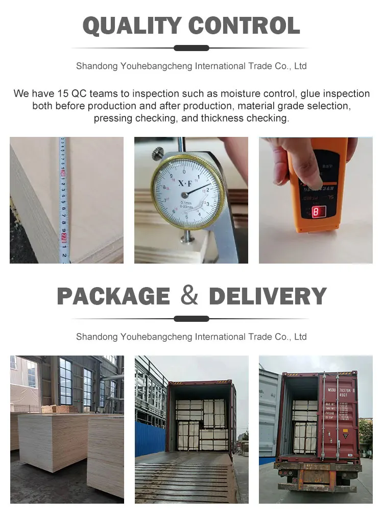 Grade E0 Baltic Birch Plywood Sheet 6mm 9mm 12mm 15mm 18mm 24mm Full ...