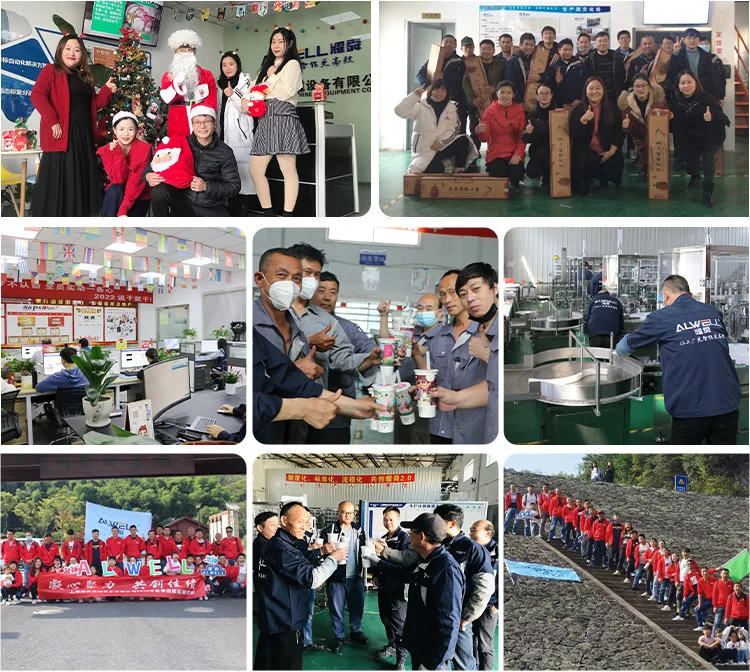 Rotary PFS Syringe Plunger Rodding & Labeling Machine