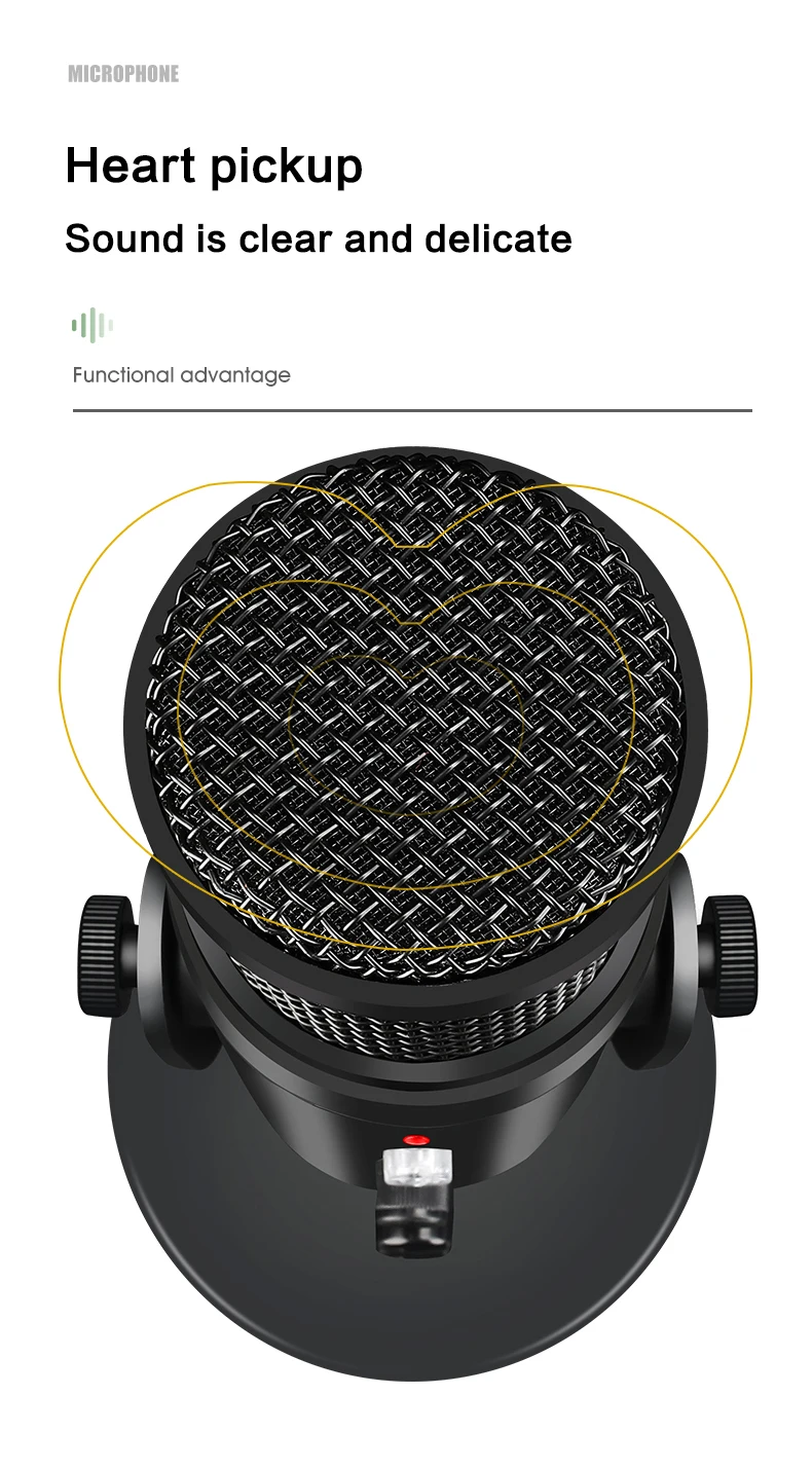 WESTON MU900 Pro Microphone for Computer - Singing & Recording