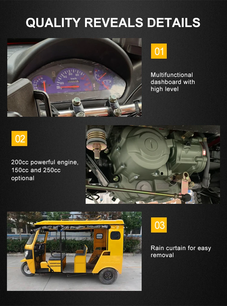 Mototaxi 200cc/250cc Water Cool Engine for Passenger