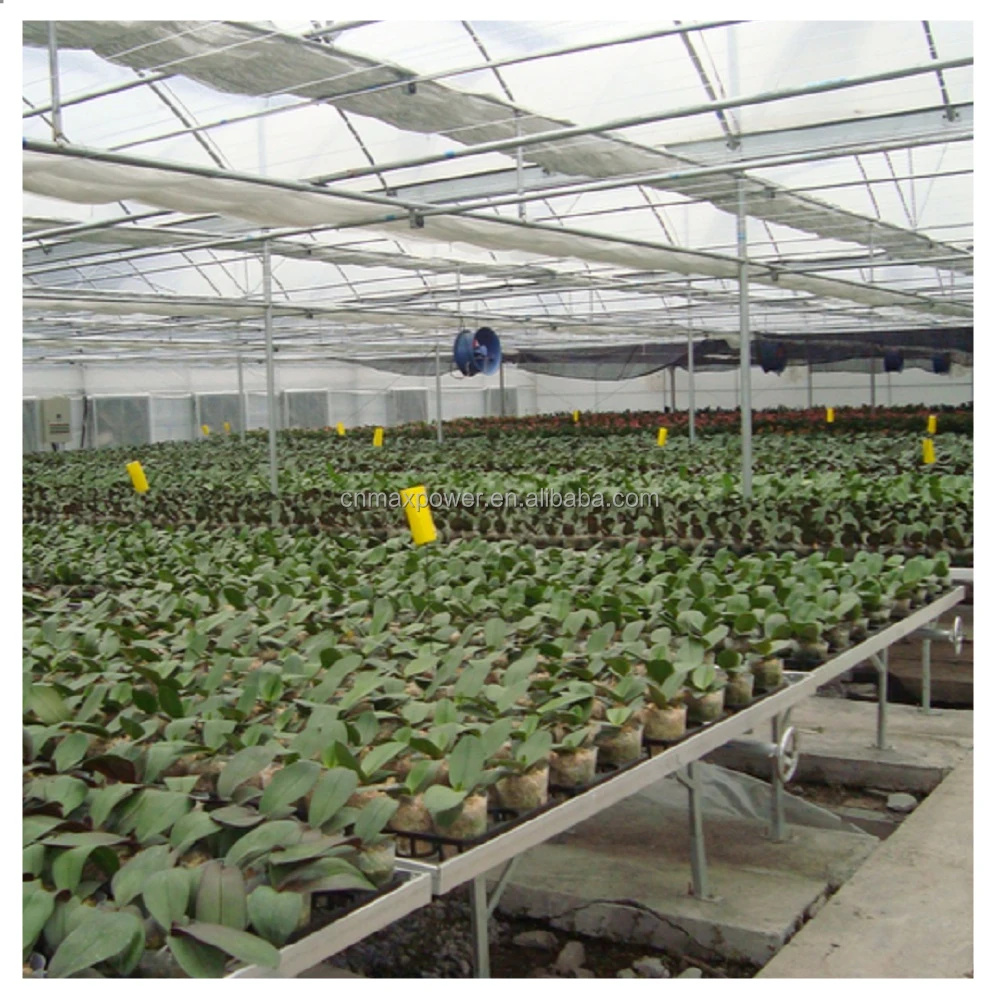 Greenhouse Tidal Seedbed With Movable Wheel - Buy Greenhouse Tidal ...