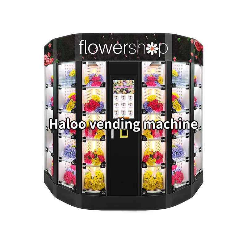 Haloo Vending Machine Supplier - Hot Food Locker Solutions