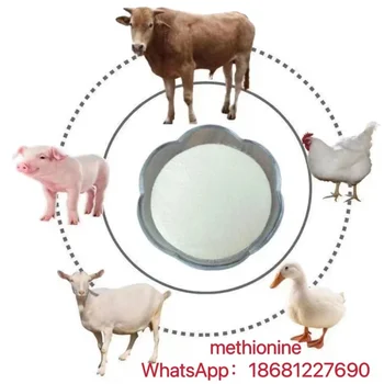 Dairy Cattle Feed Additive Dairy Cows It Reduces Feed Costs Supplements ...