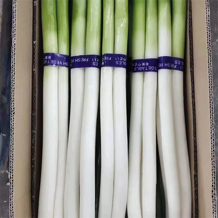 2p 3p 4p Chinese Spring Onion Fresh Vegetables Cheap Price Green Leek ...