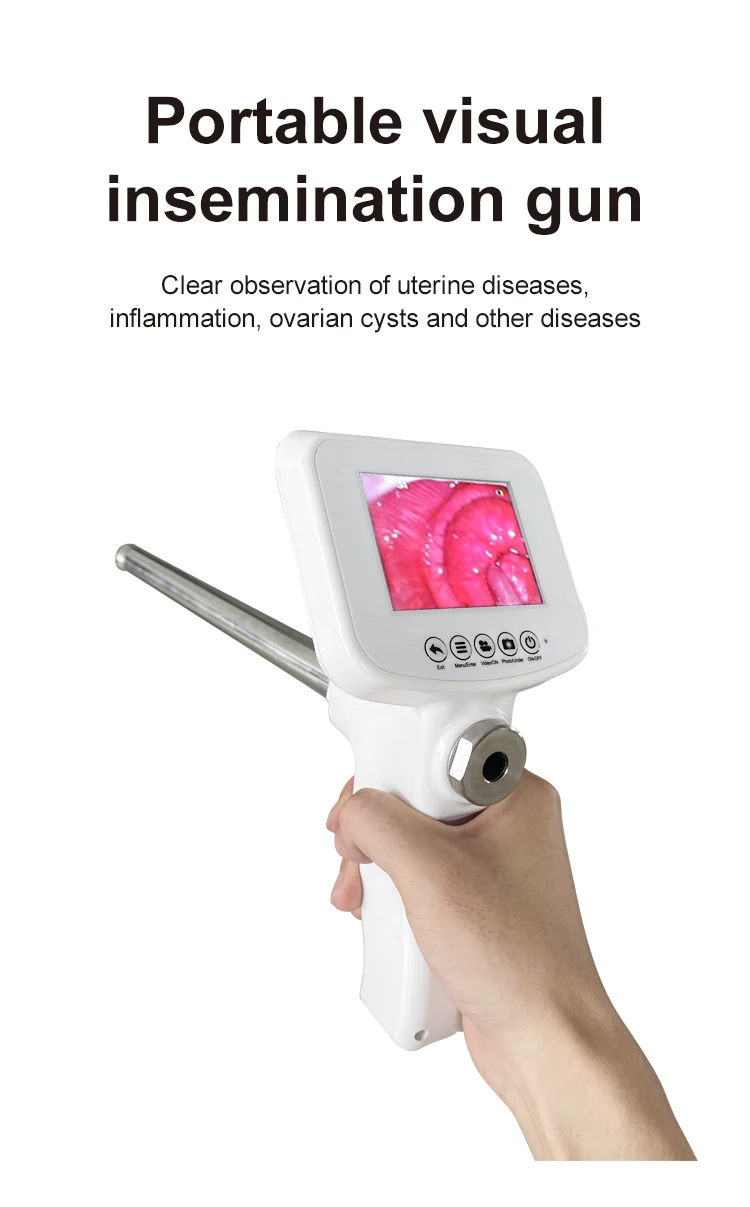 Handled Smart Cow Ai Gun Horse Endoscope Cattle Artificial Insemination ...