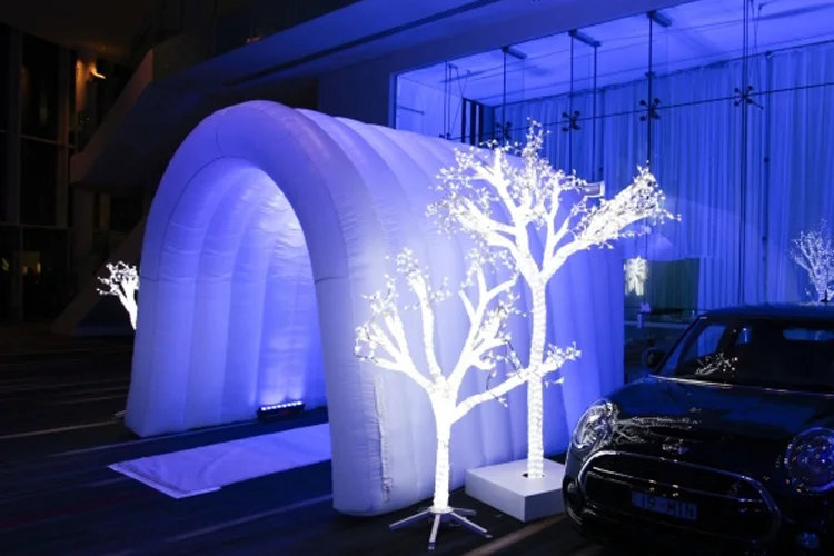 Giant Outdoor Event Led Lighting Tunnel Inflatable for Sale