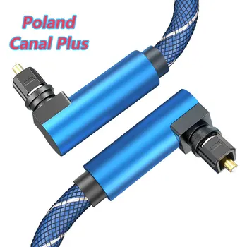 Europe Tvp 4k Poland Canal Plus Server 8 Lines Cccam Egygold Oscam ...