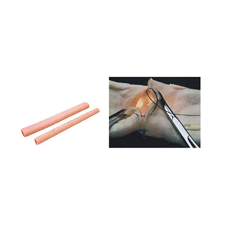 Medical Surgical Training Intestinal Anastomosis Model Suture Practice ...