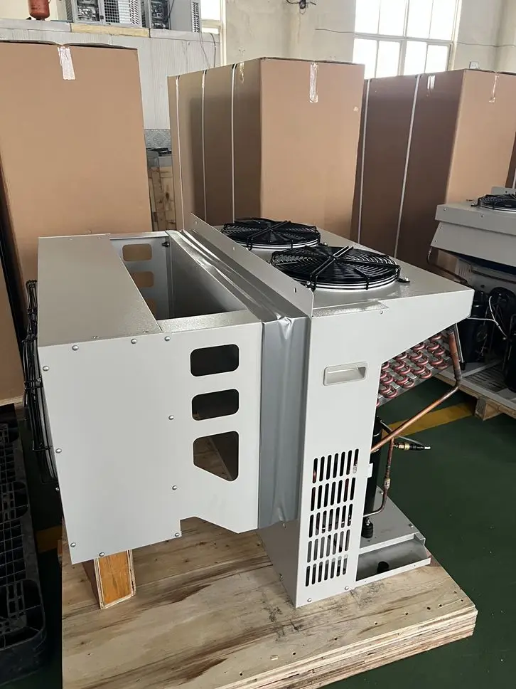 20ft Mobile Container Best Solar Power Cold Storage Room For Fish Meat ...