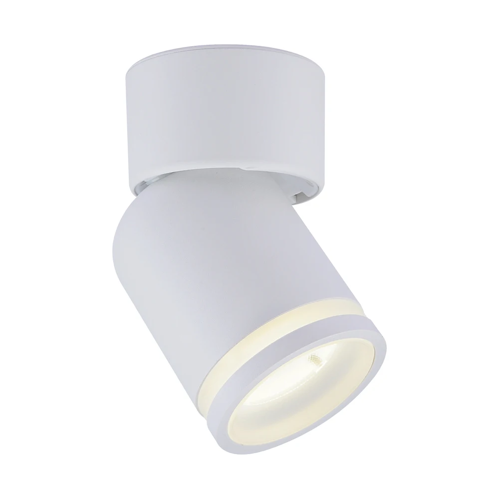 Adjustable Surface Mounted Adjustable Angle Led Downlight In Commercial ...