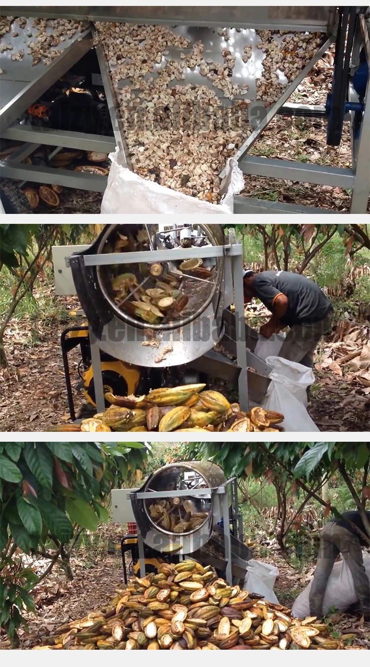 Automatic Cocoa Pod Separator - Efficient & Safe Machine