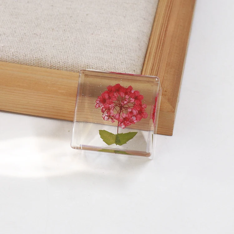 Resin Dried Flower Shaped Teaching Tool Gift - Acrylic Crafts