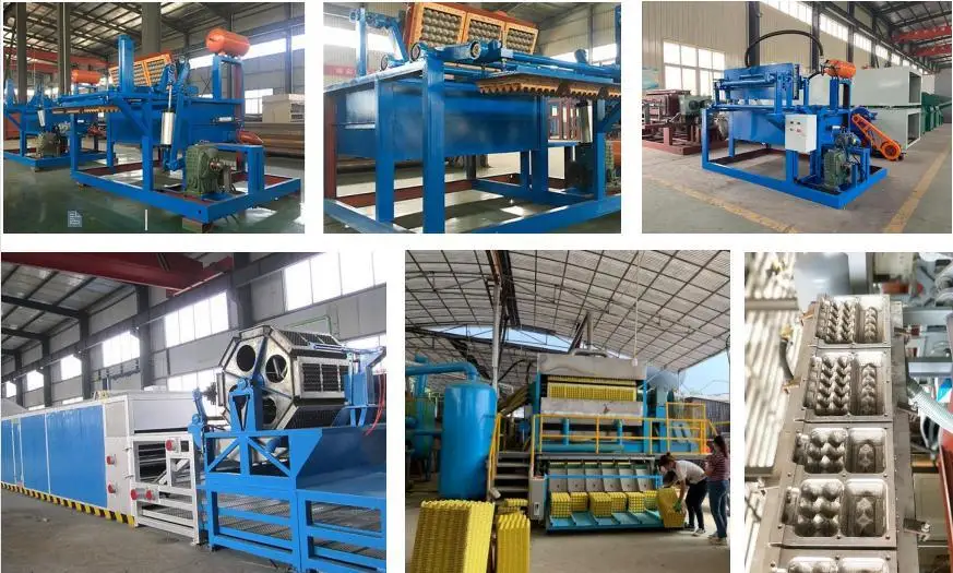 High Quality Automatic Automatic Egg Tray Machine With Metal Drying ...