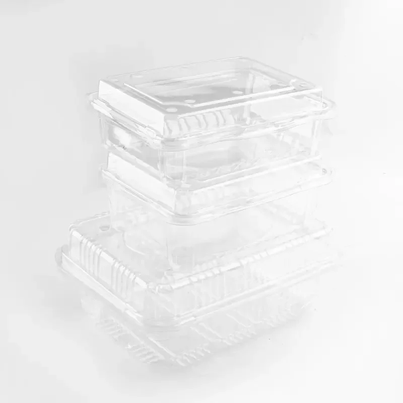 Transparent Disposable Plastic Box With Lid Clamshell Eco Friendly ...