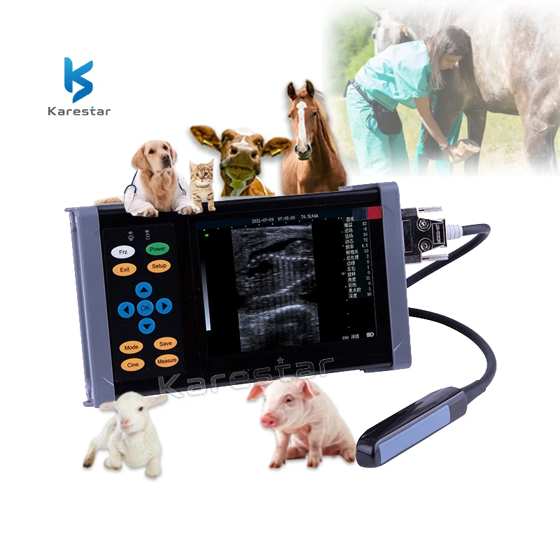Portable Rectal Probe Handheld Veterinary Vet Ultrasound Machine For ...