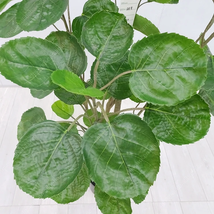 110-180cm Pachira Macrocarpa Tree Plant Bonsai Artificial Money Tree ...