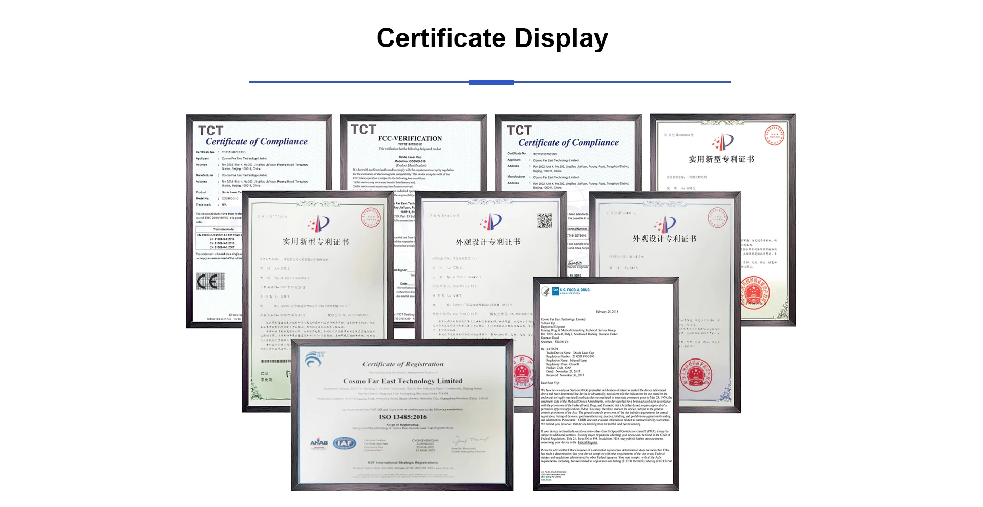 Company Overview - Cosmo Far East Technology Limited