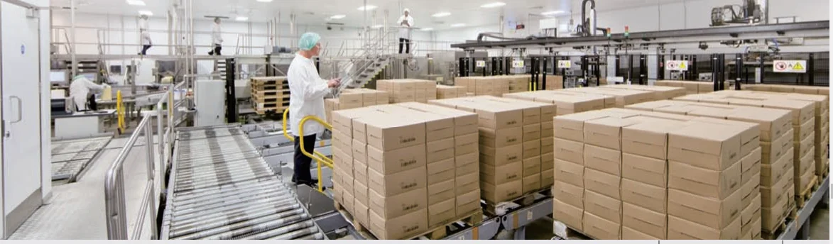 ACW Series Check Weigher - Precision Weighing Solutions