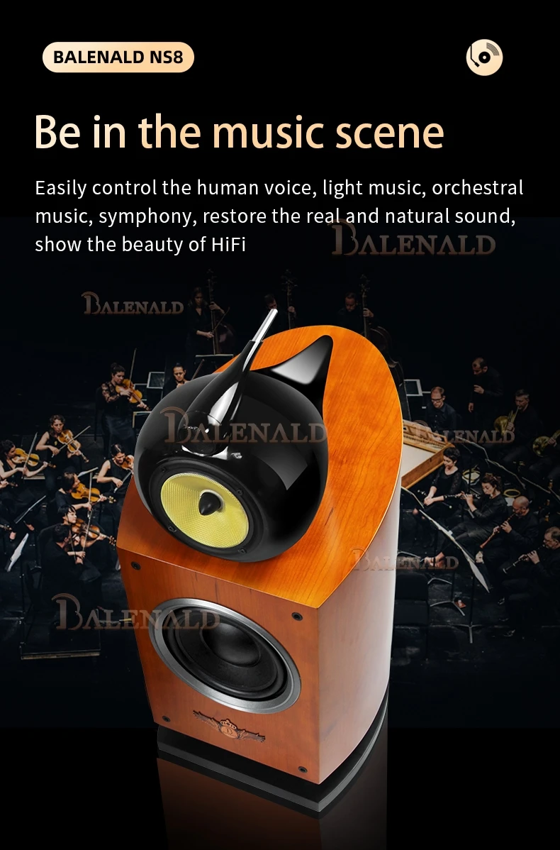 Fever Hi-Fi Balenald NS8 8-Inch Bass Three-Way Speaker