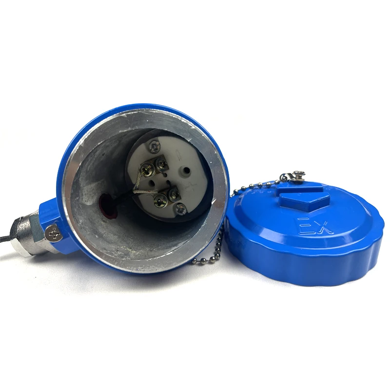 Customizable ATEX Certified RTD PT100 Temperature Sensor