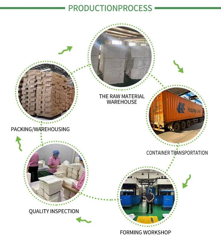 Biodegradable Disposable Sugarcane Bagasse Paper Pulp Lunch Fast Food ...