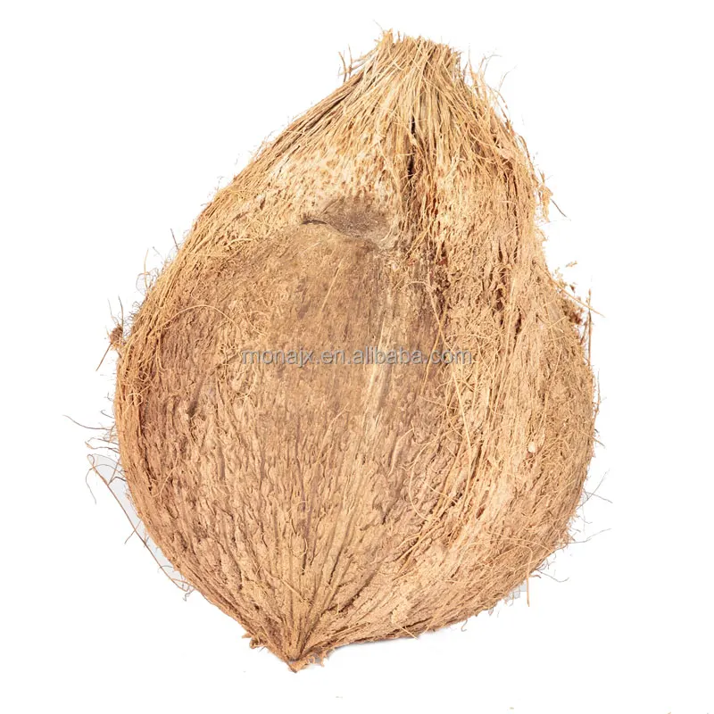 Coconut Skin Removing Machine - Efficient Husking Solutions