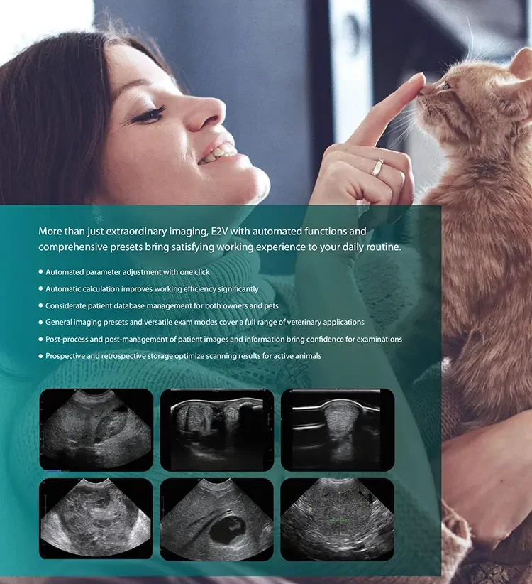 Sonoscape Veterinary Ultrasound Machine E1v for Vet Color Doppler ...
