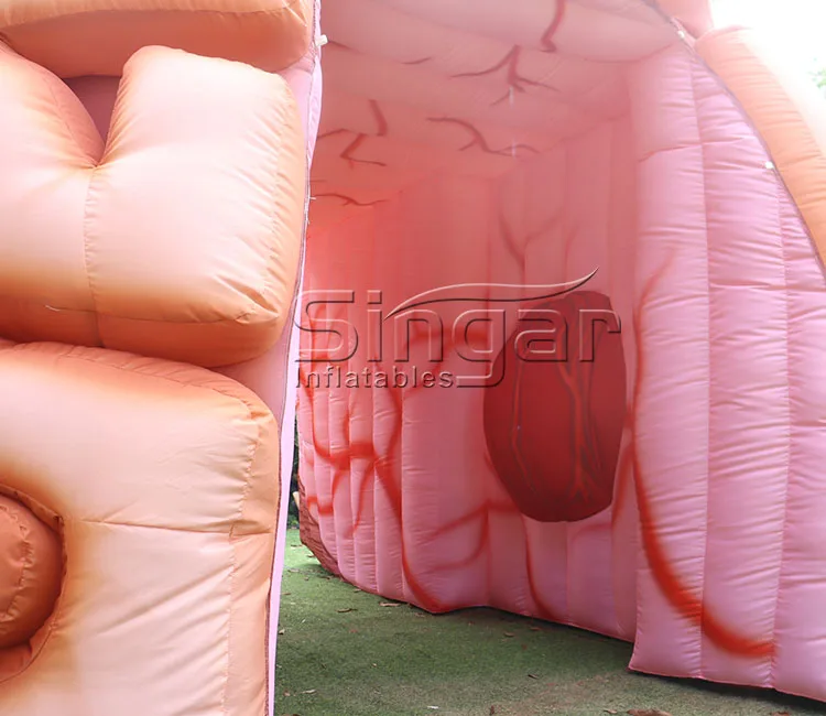 Custom Inflatable Medical Brain Props - Singar Quality