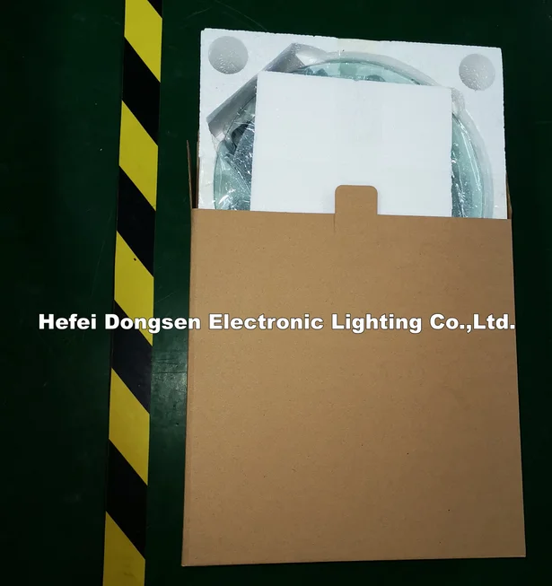 12 Inch Green Plasma Plate Light - Buy Plasma Disk Light Plasma Disk ...