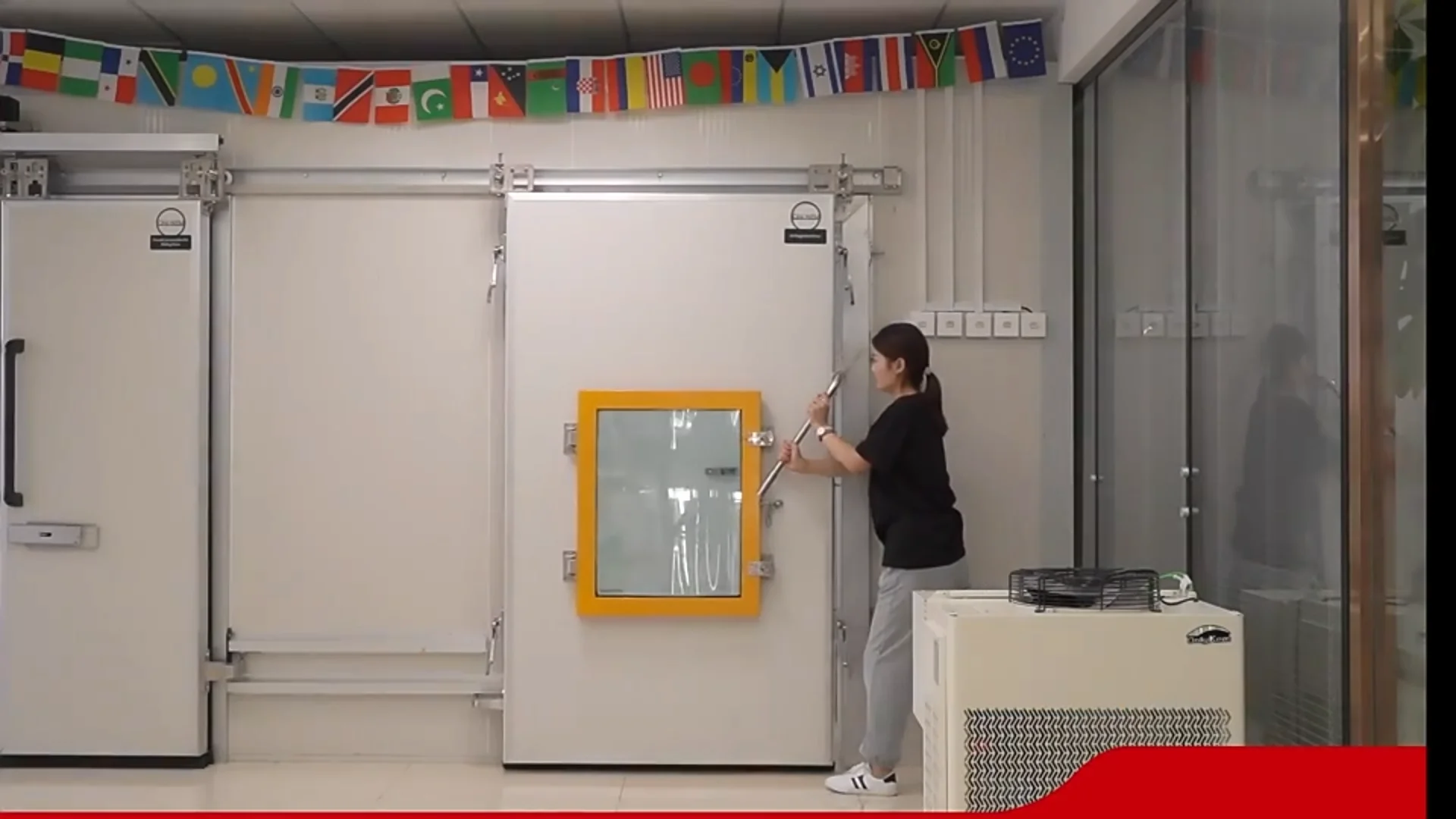 20ft 40ft Reefer Container Cold Room For Sale Refrigerated Container ...