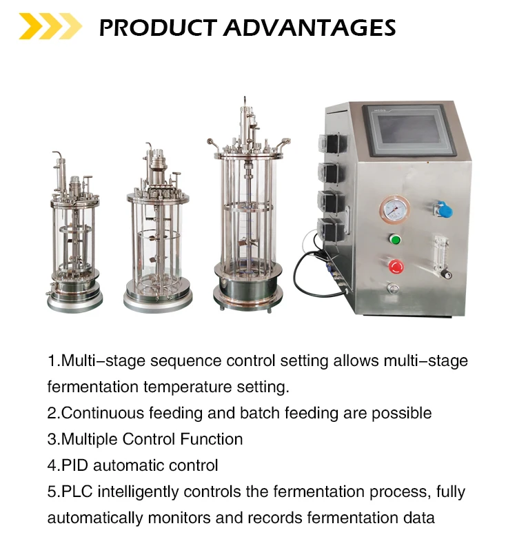 Mini Lab Benchtop Fermentation Bioreactor Cell Culture 0.25l 5l 10l 15l ...