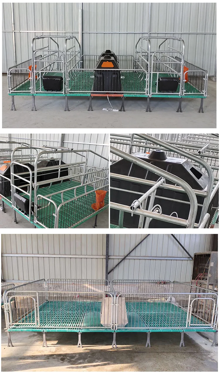 Sow Gestation Cages - Durable & Efficient Pig Farming Equipment