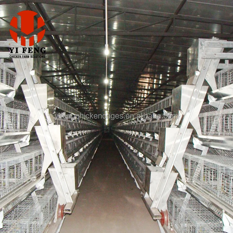 Chicken Cages for Laying Egg Chicken Cages Egg Collection 120 Birds Egg ...