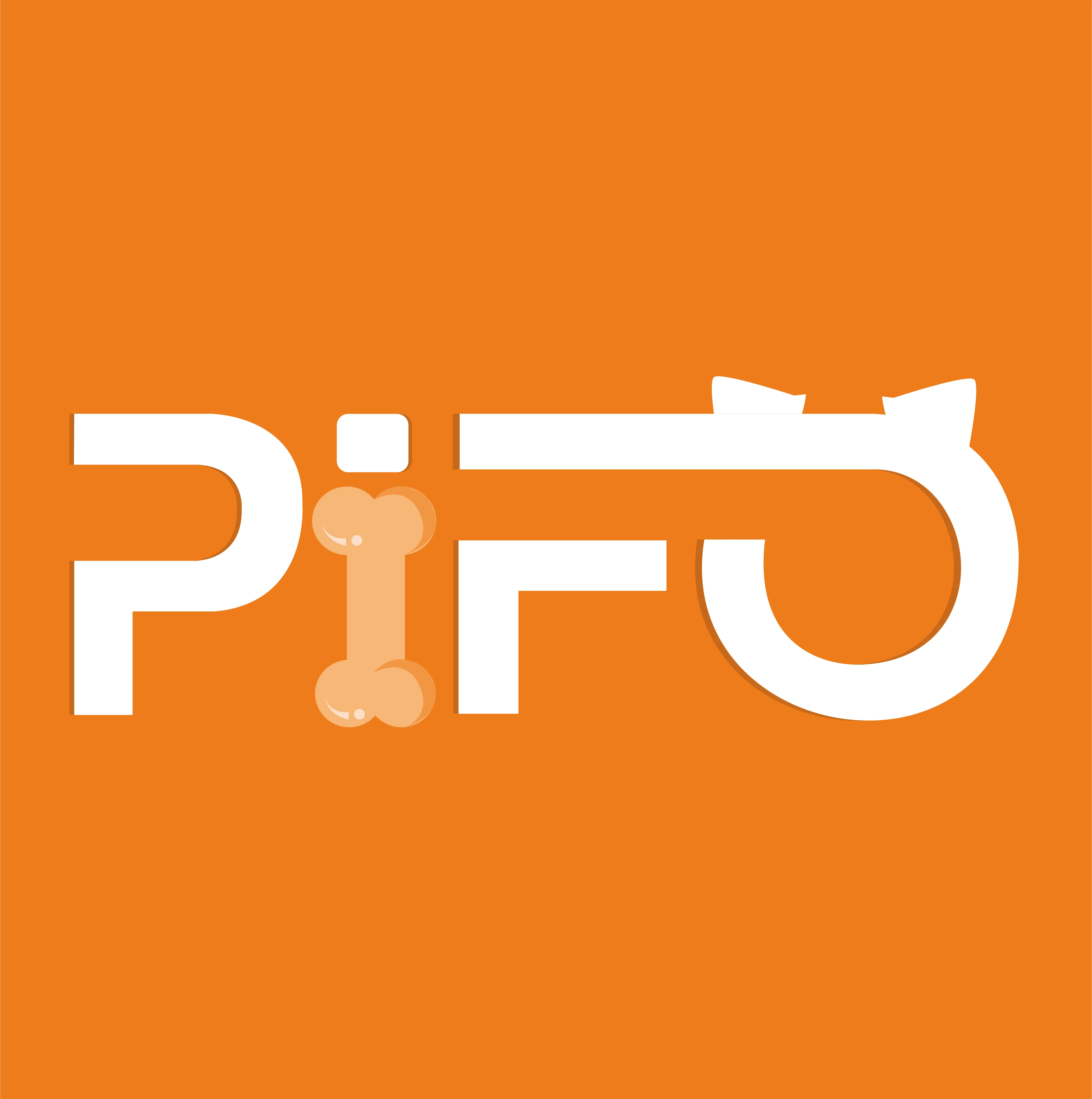 Company Overview - Qingdao Pifo Pet Food Co.ltd