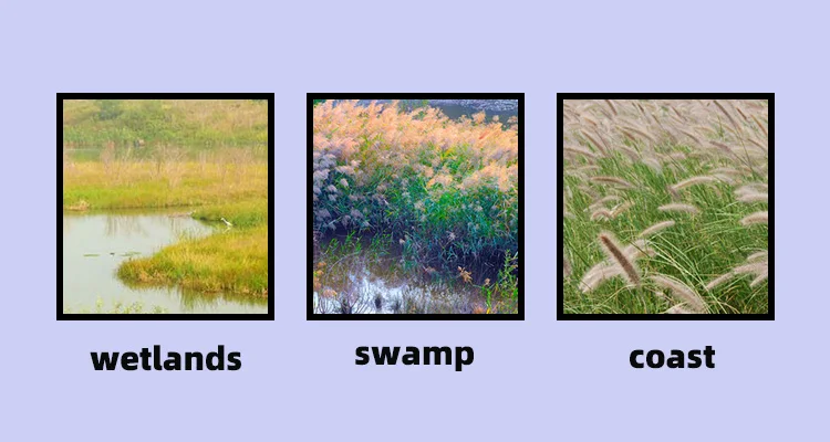 Floating Amphibious Aquatic Crawler Type Weed Cutter Harvester Seaweed ...