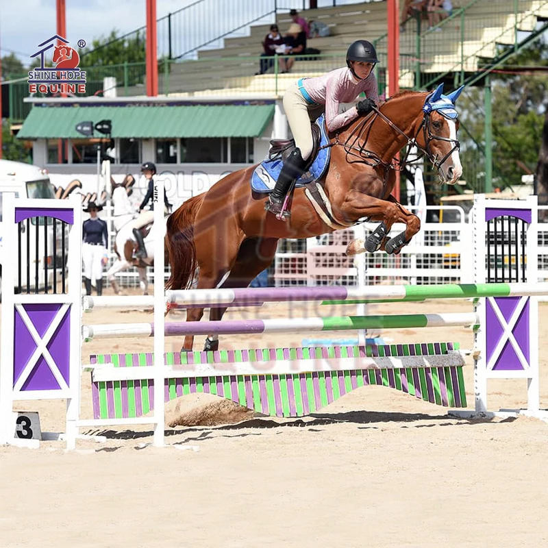 Aluminum Horse Show Jumps Jump Wing Equestrian Jumps - Buy Aluminum ...