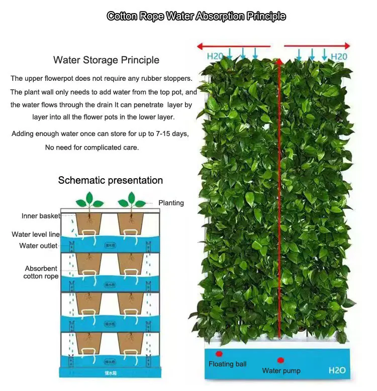 Hydroponic Green Wall System - Vertical Planting Solutions