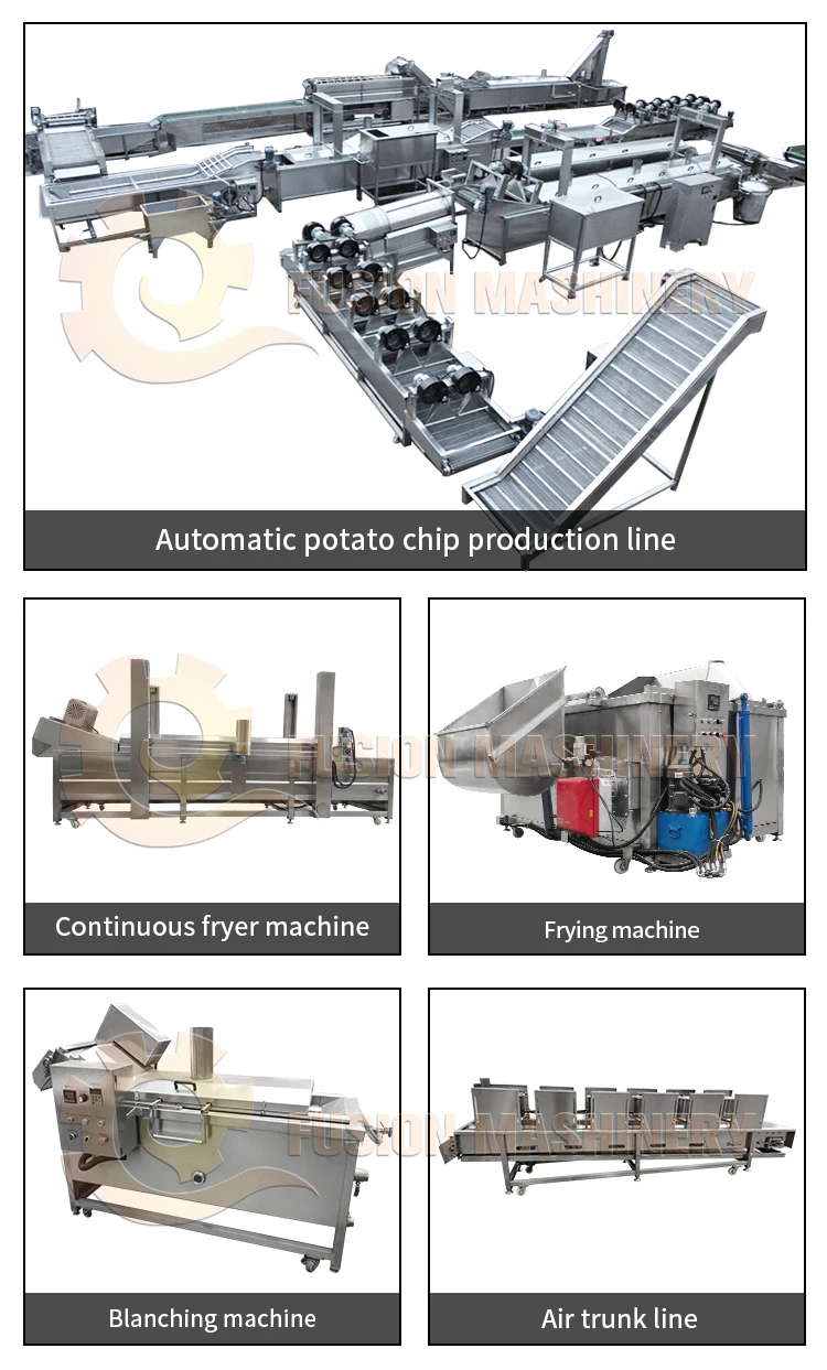 Electric Chips Fryer Frying Machine Chicken Stainless Steel Deep Fryer ...