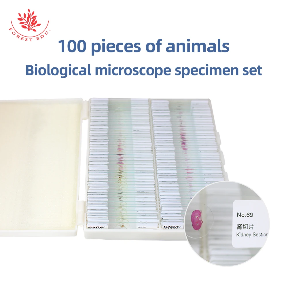 Biology School Supplies - 100 Items for Microscope Slides