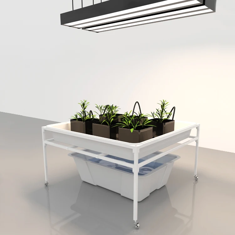 4x4 Flood and Drain Table for Vertical Farming Success
