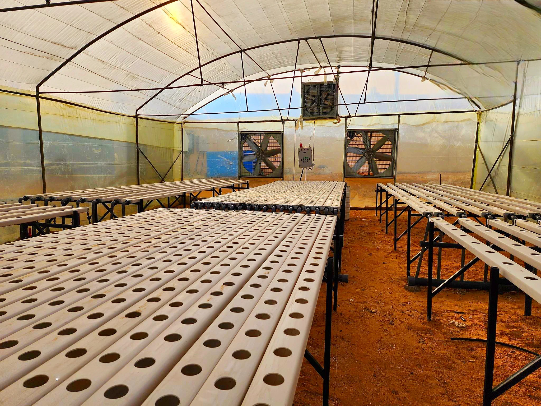 Hydroponic NTF PVC Pipe Cultivation System for Strawberries