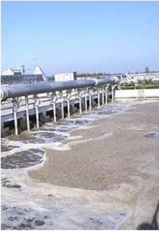 Readycome Commercial Fire Pressure Stabilizer Pump - 3KW