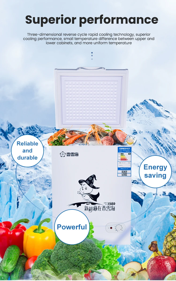 Snowsea BD-158 CE CB Single Door Fridges - Efficient & Versatile