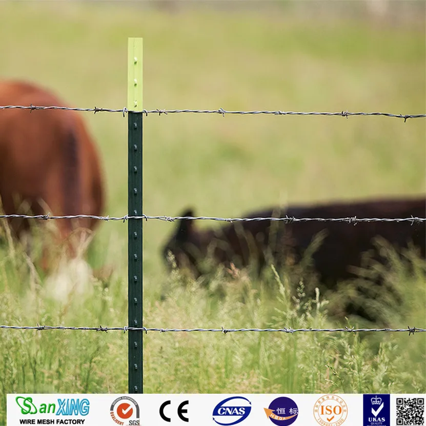 Farm Fence Steel Y Post / Star Picket For Cattle Fence Best Selling ...