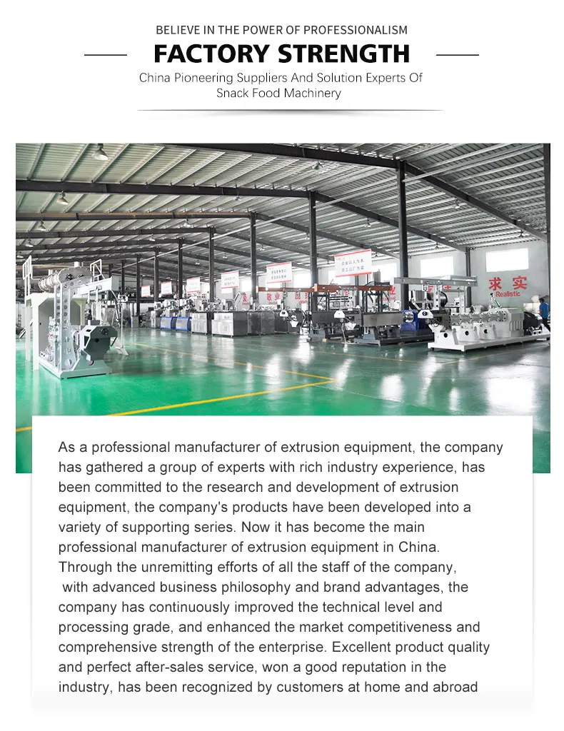 Vegetables and Fruit Seafood French Fries Chicken Vacuum Frying Machine ...