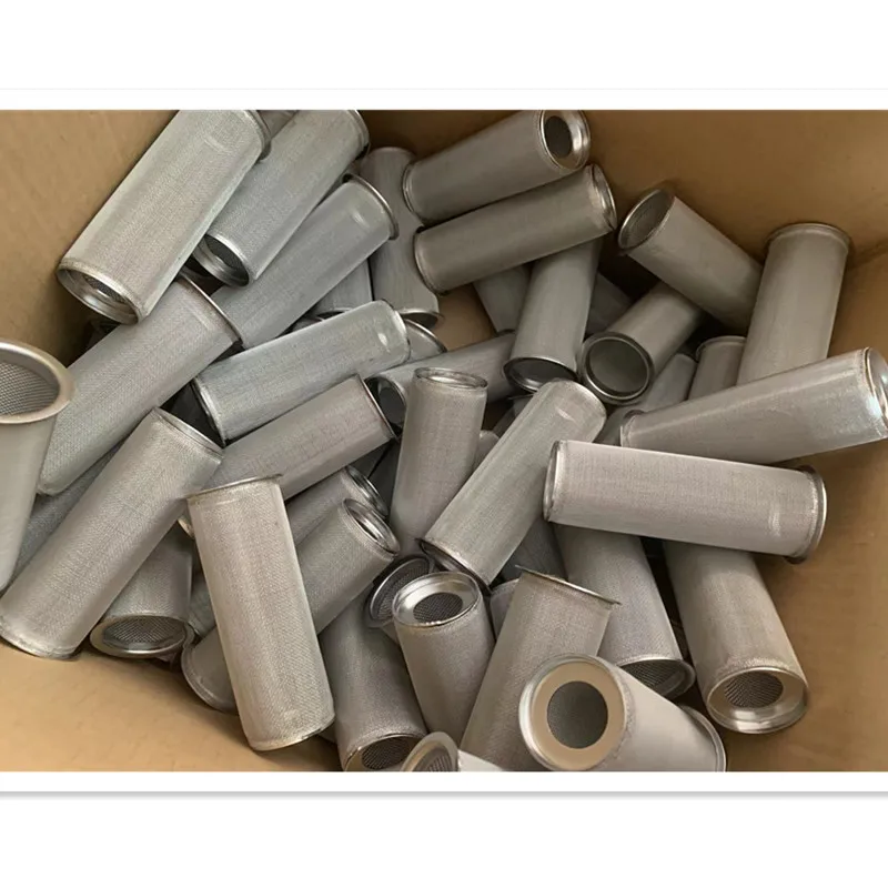 Stainless Steel Mesh Perforated Metal Filter Cylinder
