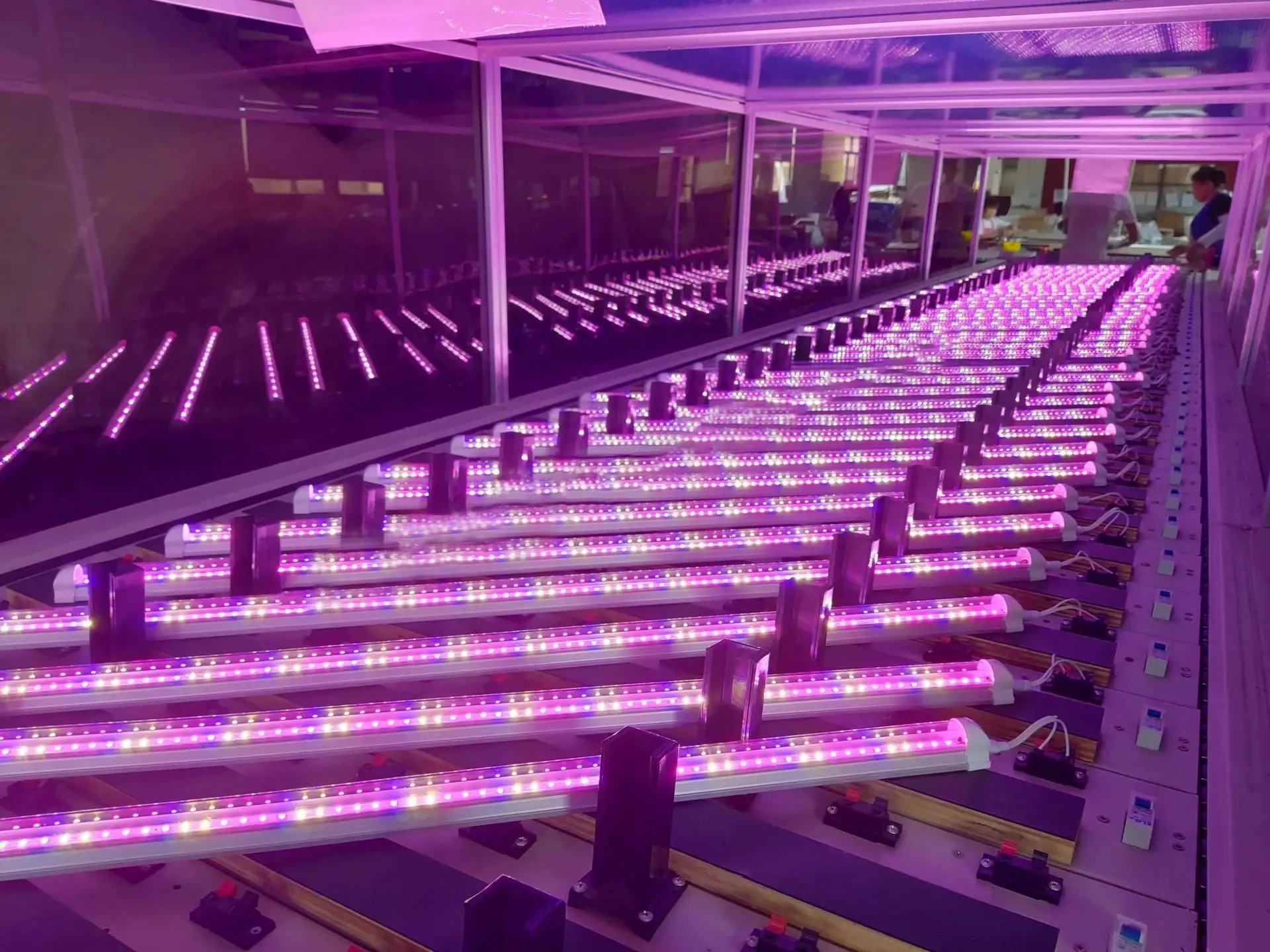 Customized T8 LED Grow Light Tube - Full Spectrum Waterproof