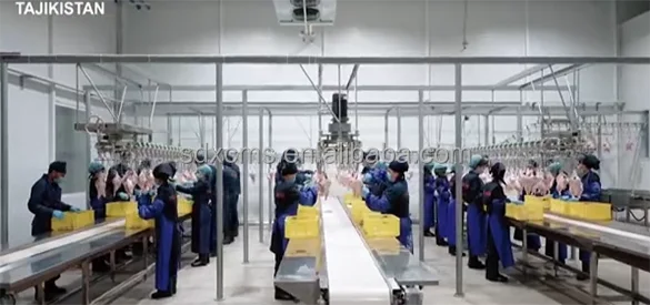 Spin Chiller - Efficient Poultry Pre-Cooling Solutions
