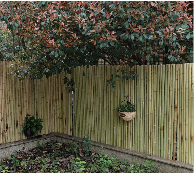 Garden Natural Black Chocolate Rolled Bamboo Fence Manufacturer - Buy ...